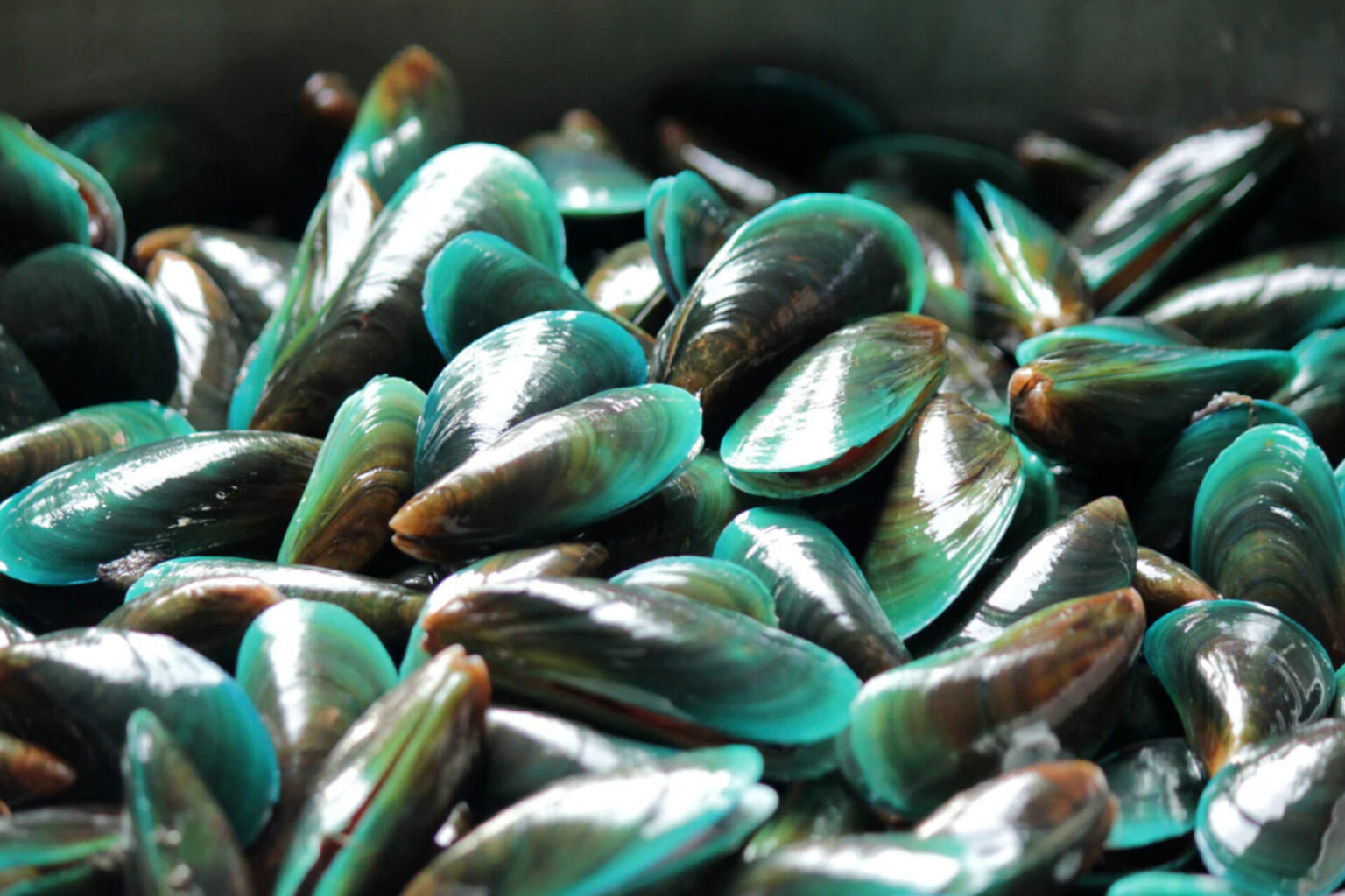 COUNTRY’S FIRST GLYCOGEN EXTRACTION FACILITY OPENS IN TACLOBAN, SAYS ...