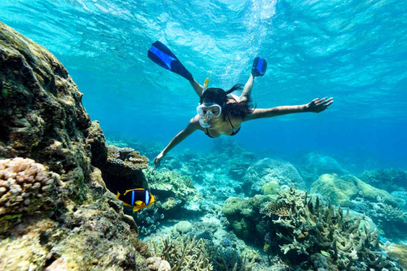 DOT HONORS PUERTO GALERA AS LEADING DIVING SPOT IN THE PHILIPPINES ...