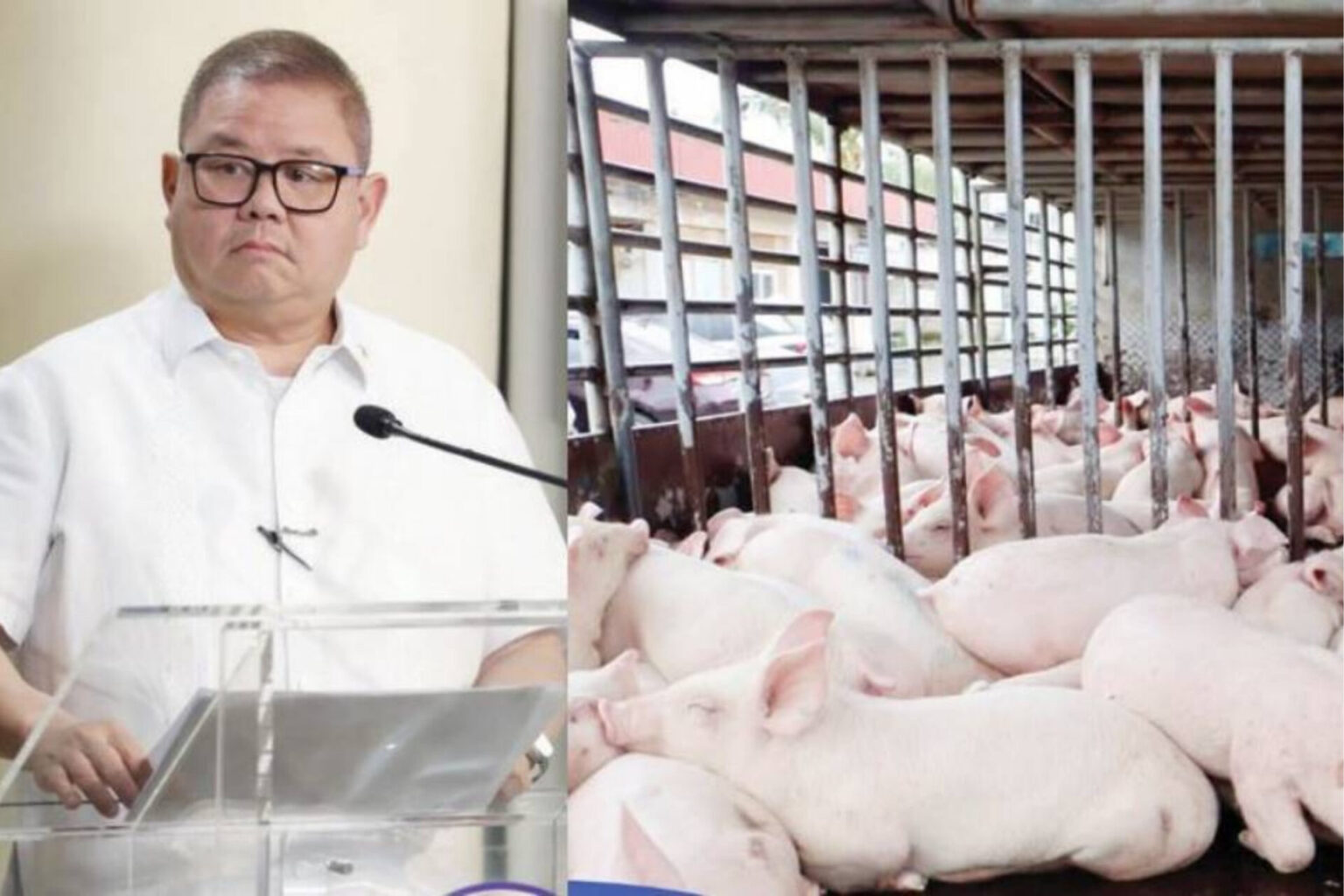 DA ALLOWS IMPORT OF LIVE HOGS FROM ASF-FREE ZONES IN CANADA - PhilNews24