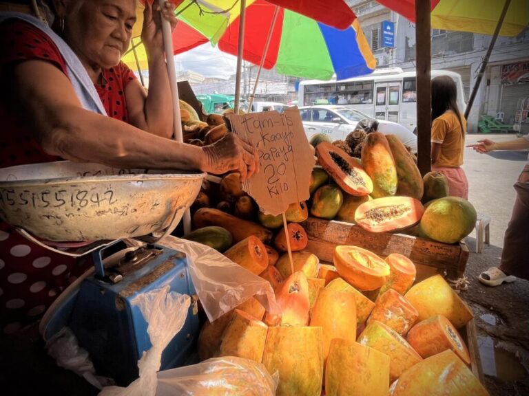 SUMMER FRUITS THRIVE IN CEBU AS PRICES DROP DURING PEAK SEASON - PhilNews24