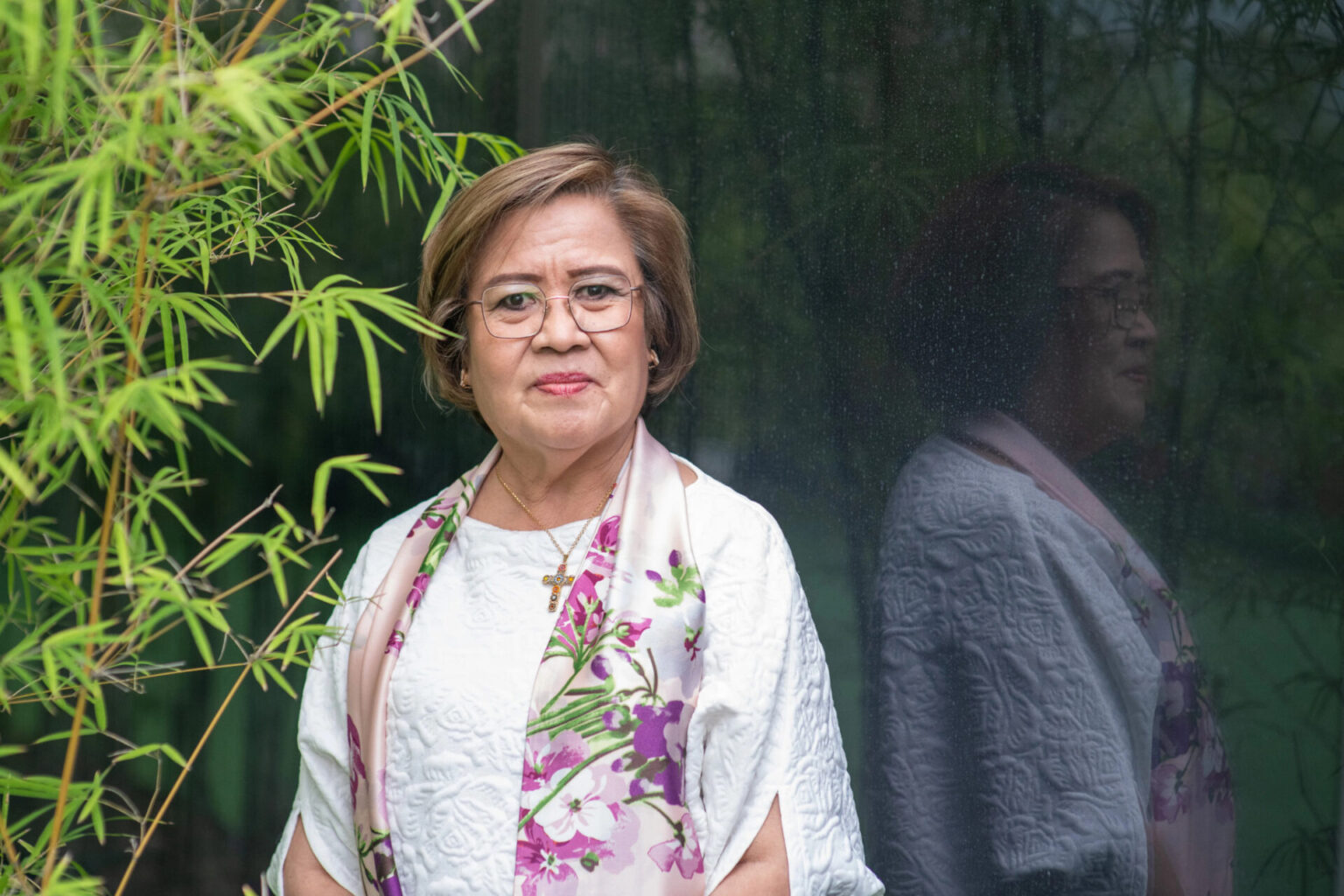 DE LIMA FILES RESOLUTION SUPPORTING REJOINING THE INTERNATIONAL ...